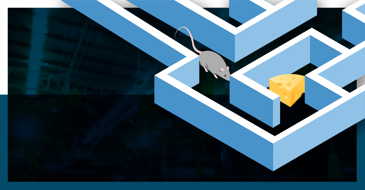 Chasing the Cheese Infographic Thank You